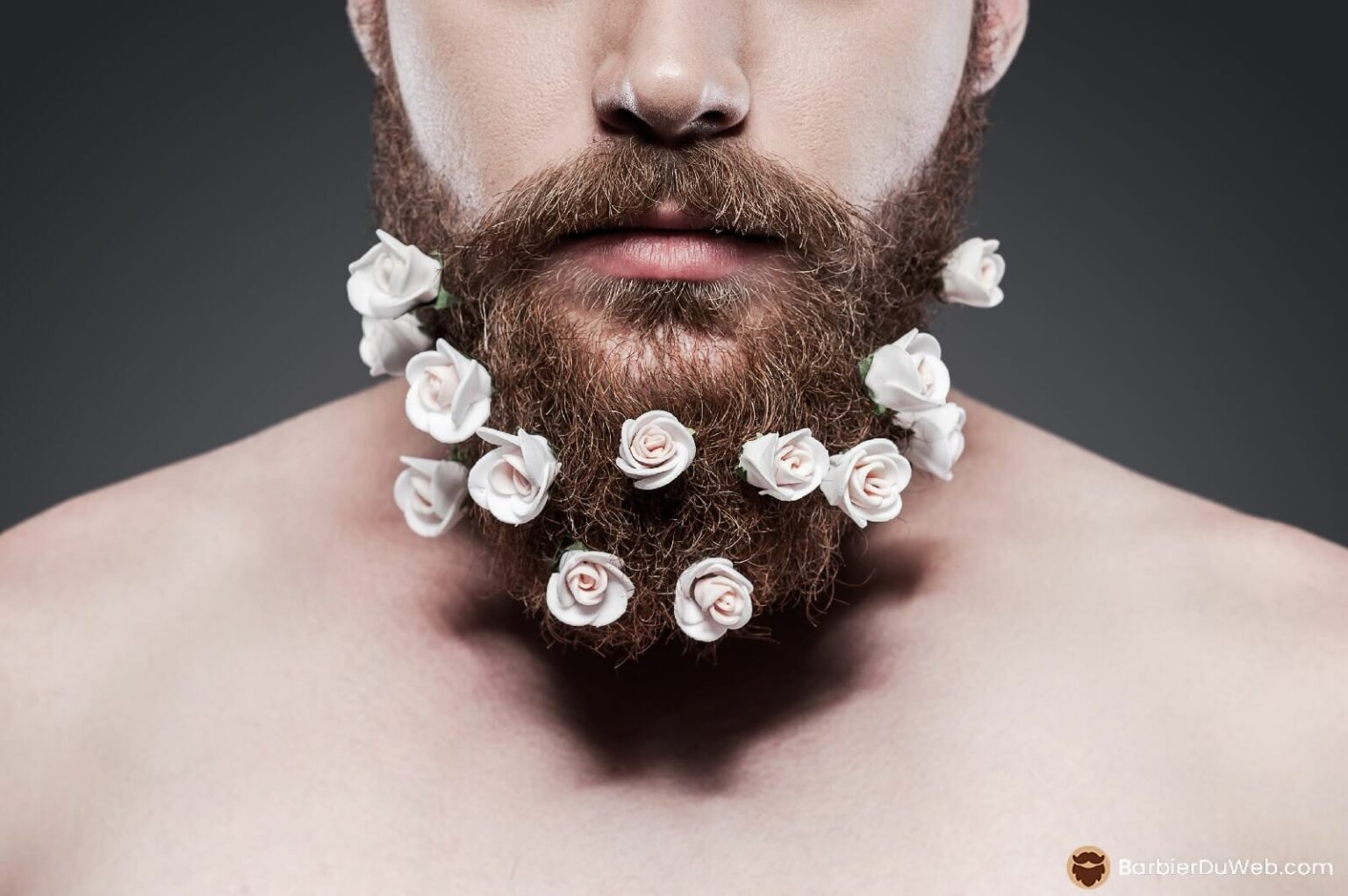Évolution de barbe & longueurs : 1 jour, 3 mois, 6 mois, 1 an et plus