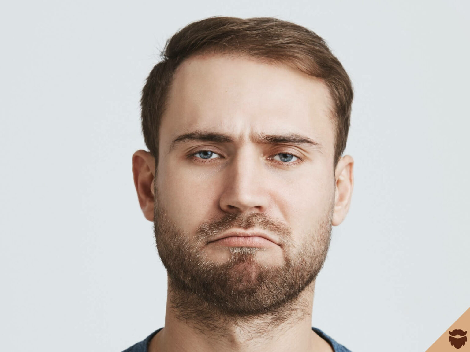 Tous les styles et coupes de barbe pour hommes - BarbierDuWeb